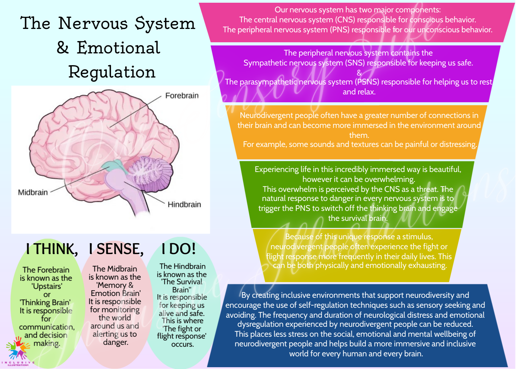 The Nervous System Explanation Visual – our-sensory-life-